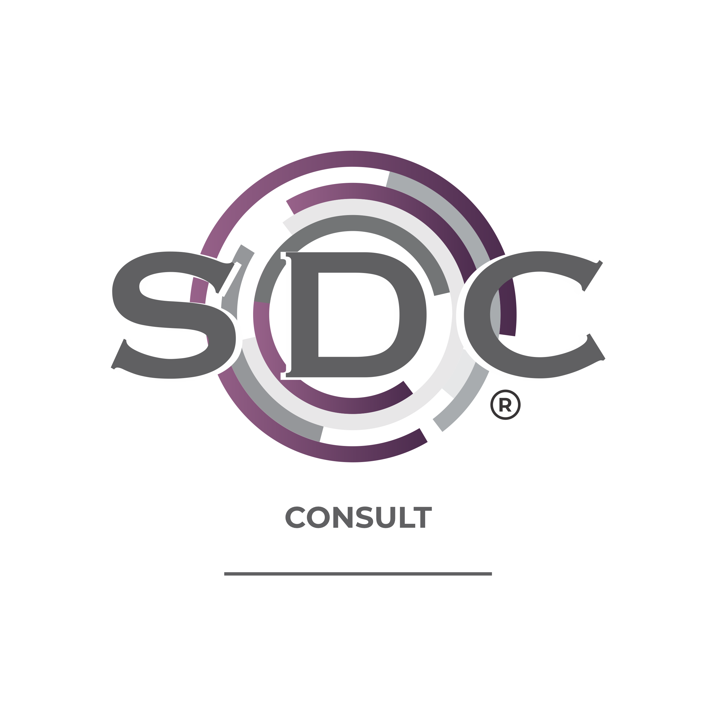 Human Resource Management - SDC Consult